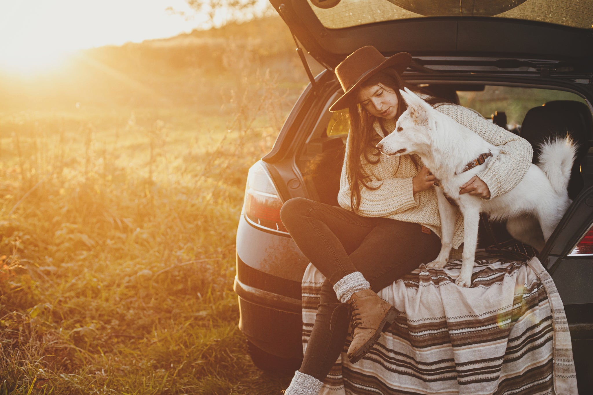 6 Spots to Make Traveling With Your Dog This Spring Exciting